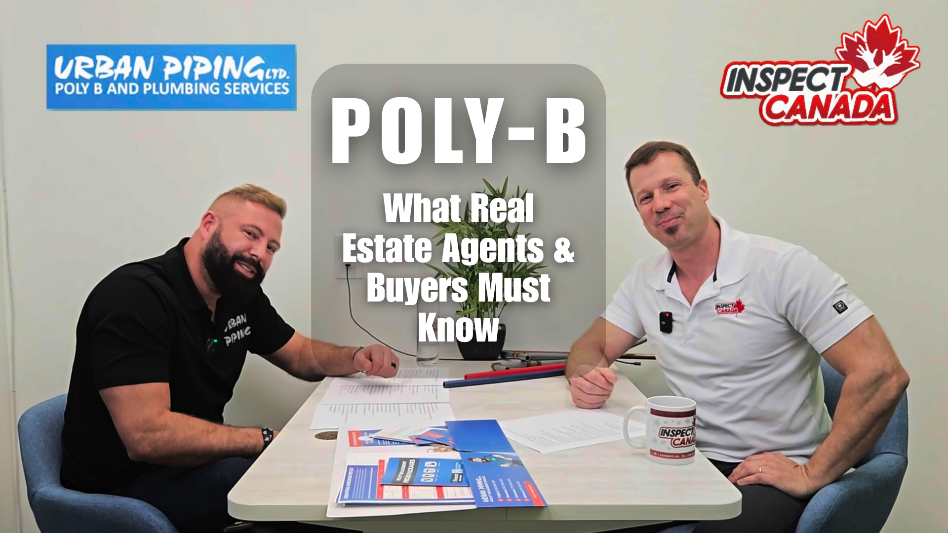 Poly-B: What Real Estate Agents Need to Know - Real Estate Courses